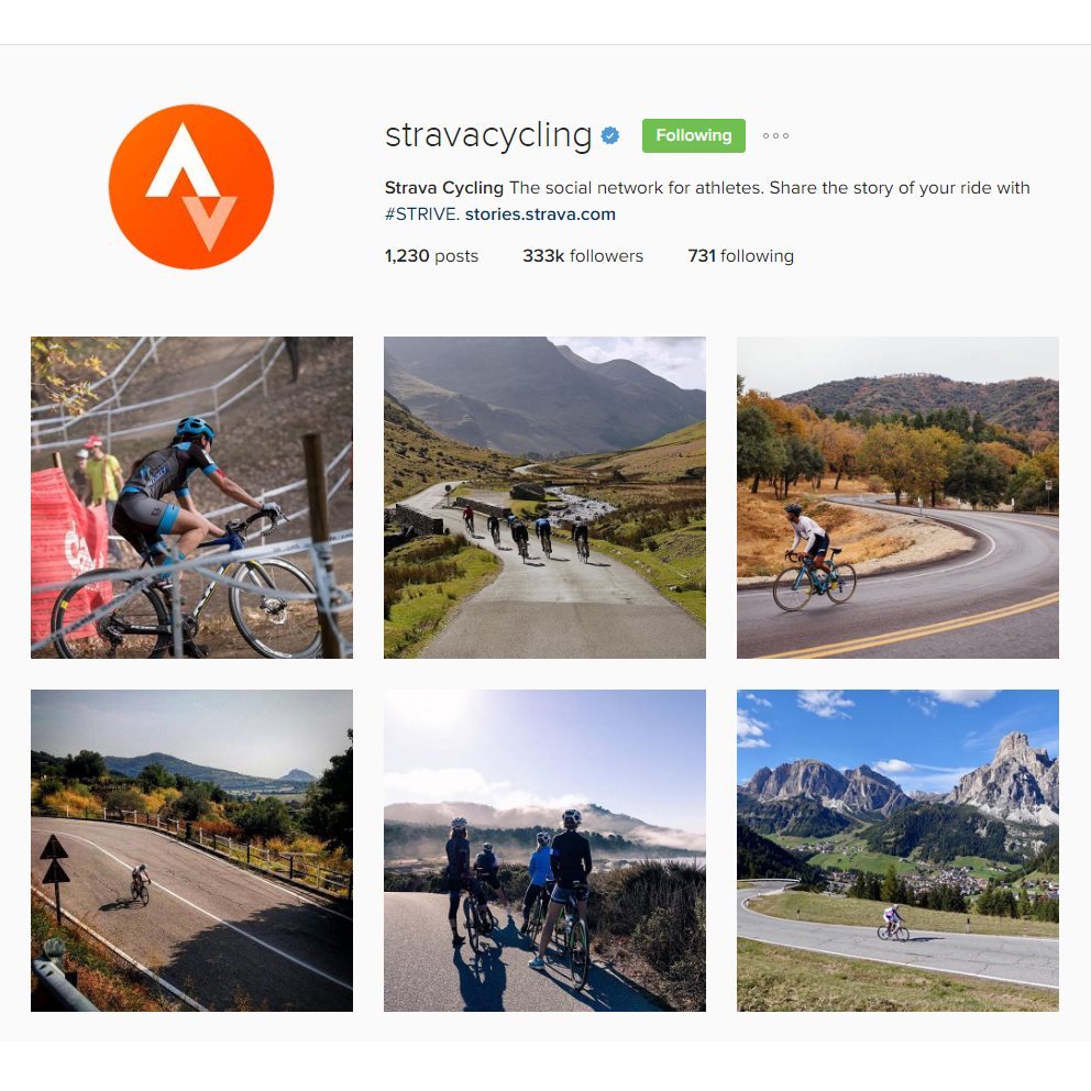 Top 10 Interesting Instagram accounts to follow for cyclists – Stolen Goat